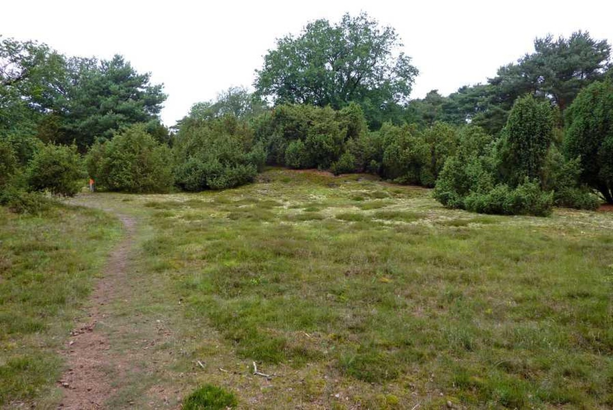 Junner Koeland Route - Anjerpunten