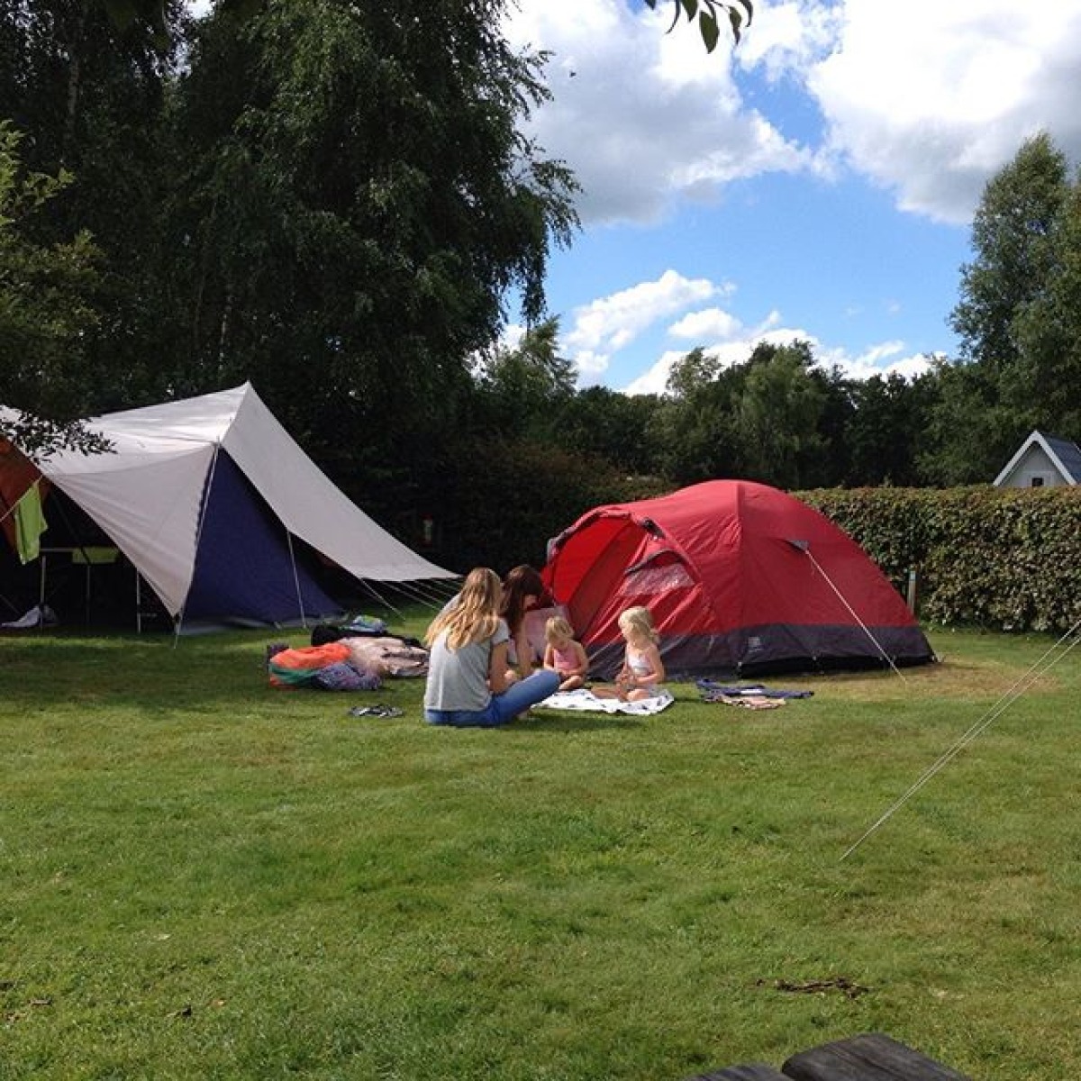 Natuurcamping rondom de Vecht - Vechtdal Overijssel