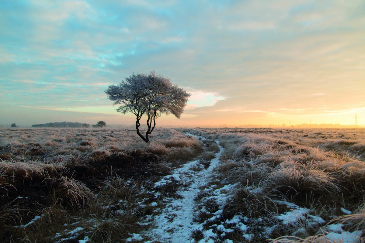 Hoogveen in Twente - Visit Twente