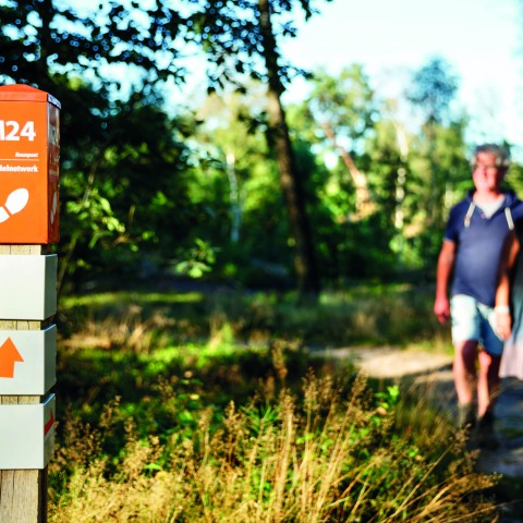 Over Diepenheim - Visit Twente