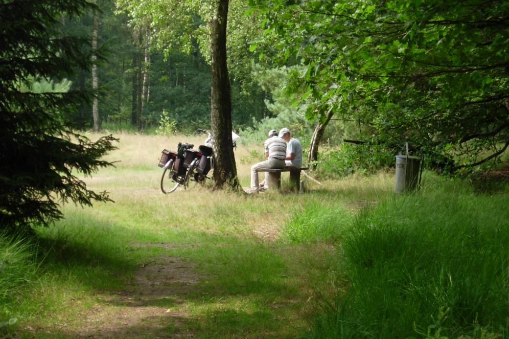 De Zwarte Dennen - Ontdek Staphorst