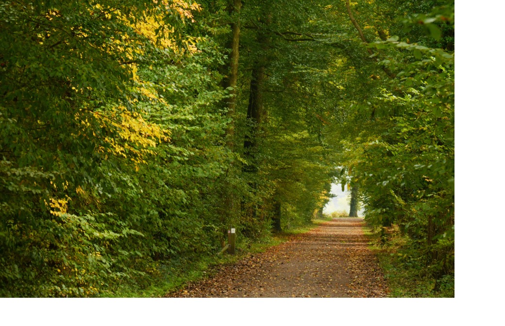 Ontdek de mooiste routes in Twente - Visit Twente