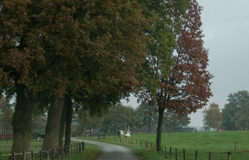 Ontdek de mooiste routes in Twente - Visit Twente