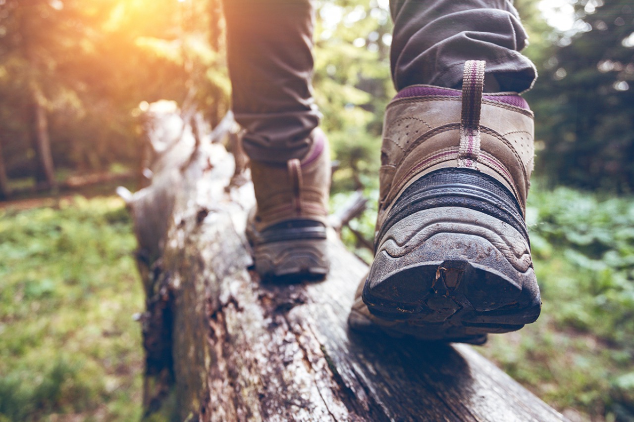 Dit zijn de 4 mooiste wandelroutes in Doesburg - Visit Hanzesteden