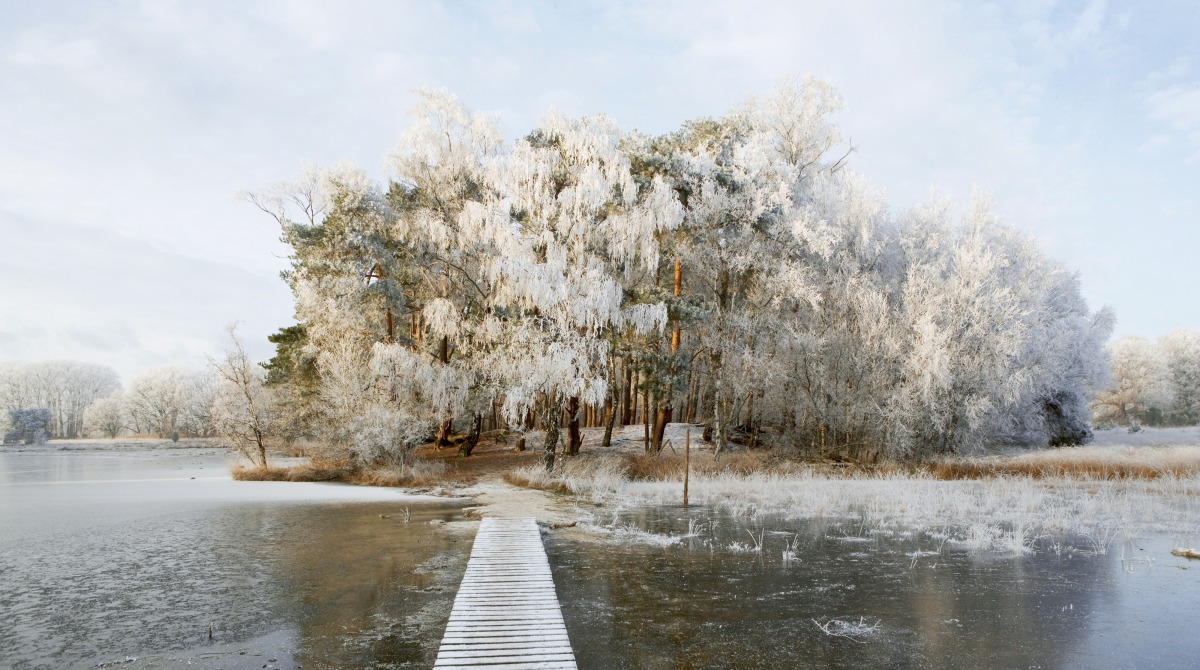 Natuur Winter Arctic Aurora Chase 2025 ~Ga Mee Op Het Grootste