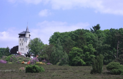 Sprengenberg | Palthertoren - Sallandse Heuvelrug