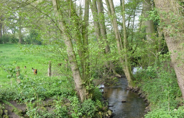 The Rutbeek recreational park - Visit Twente