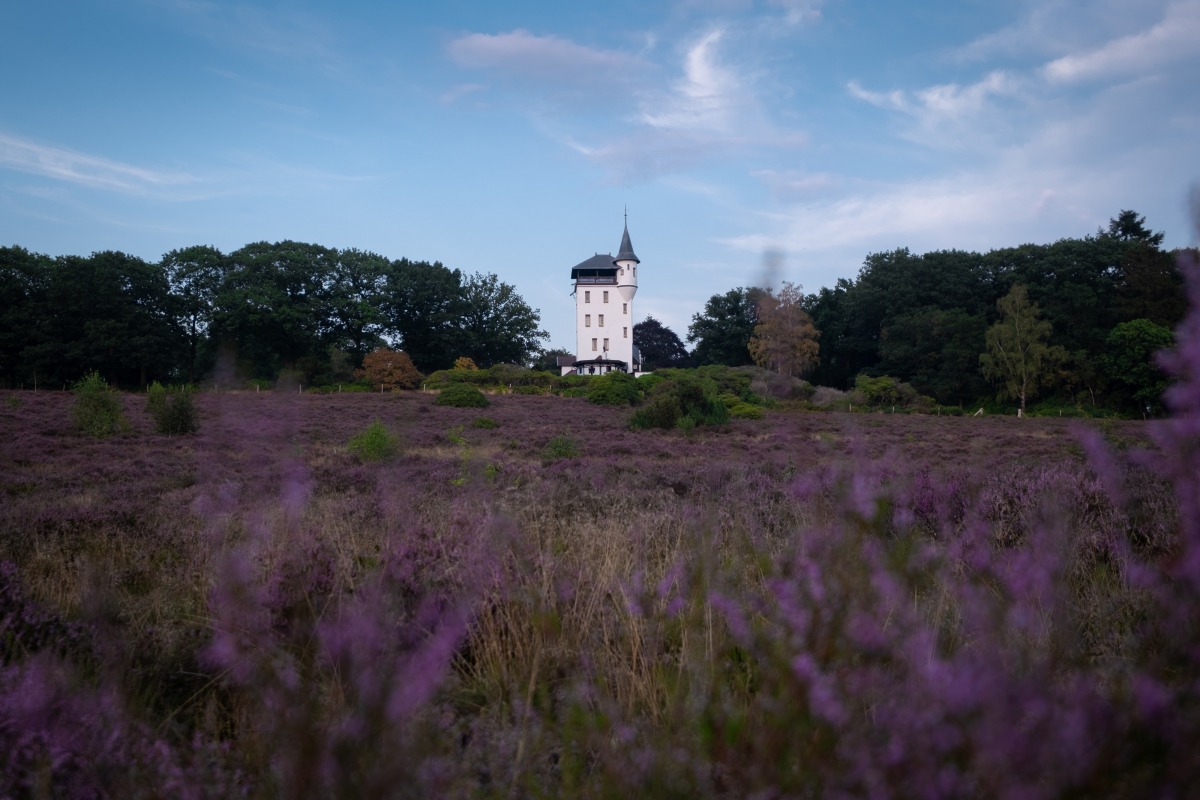 About the area - Sallandse Heuvelrug
