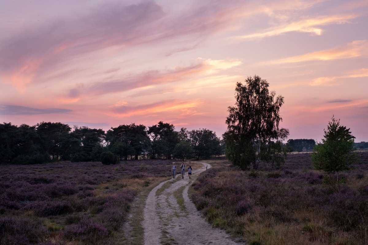 Wat is een Nationaal Park? - Sallandse Heuvelrug