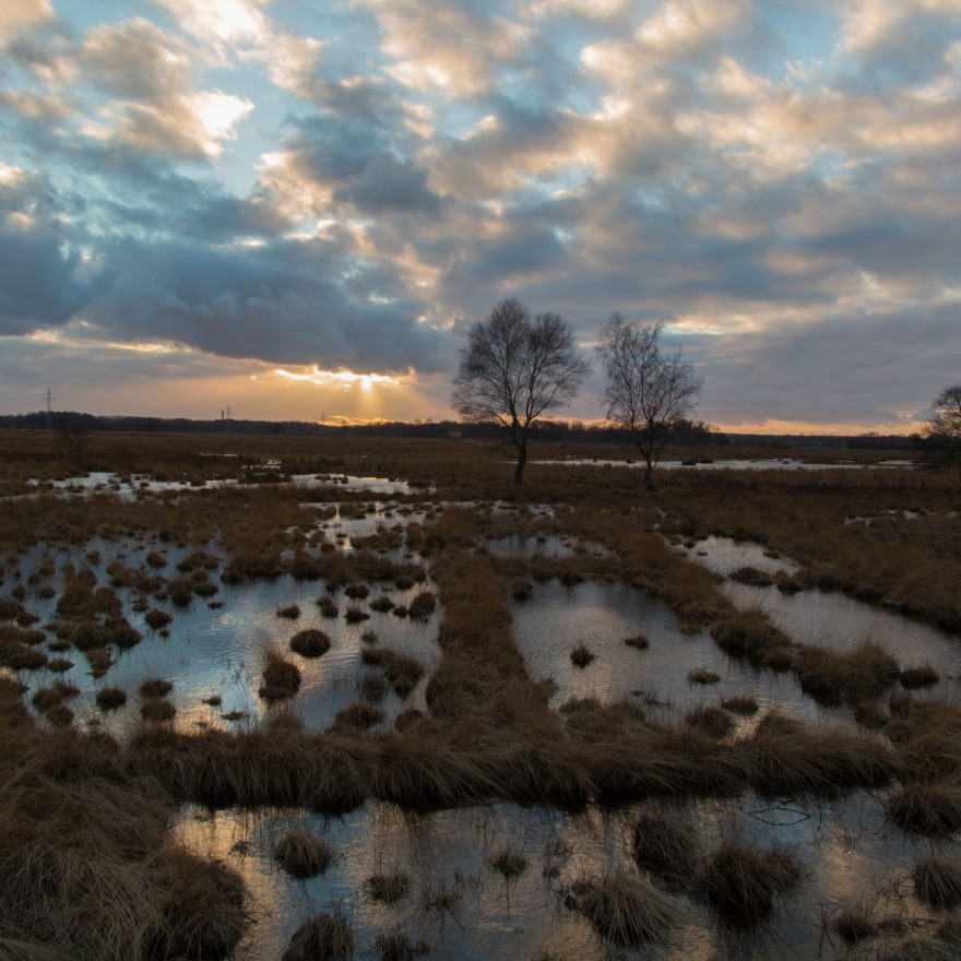 Het Wierdense Veld, net klein Afrika. - Visit Wierden-Enter