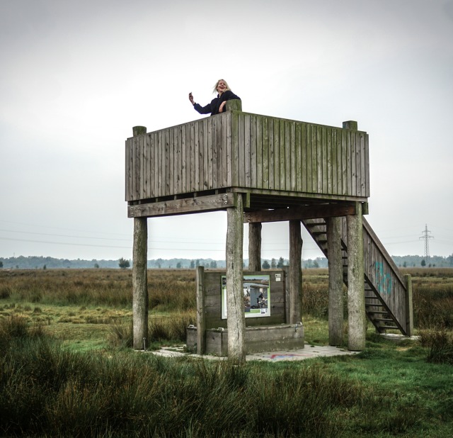 Alles over Gemeente Wierden - Visit Wierden-Enter