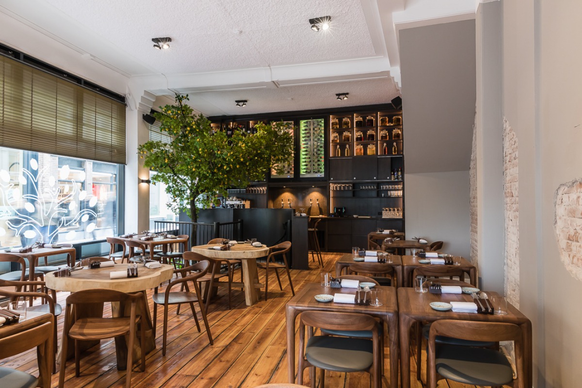 The Lemon Tree ...inDeventer