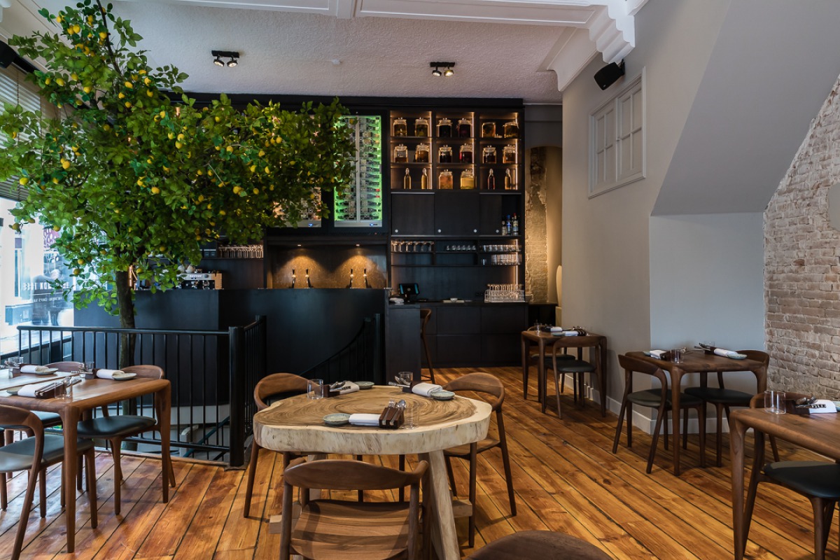 The Lemon Tree ...inDeventer