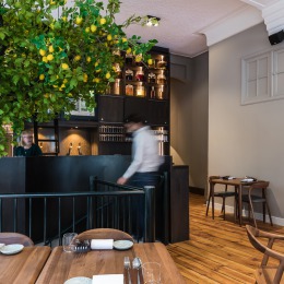 The Lemon Tree ...inDeventer