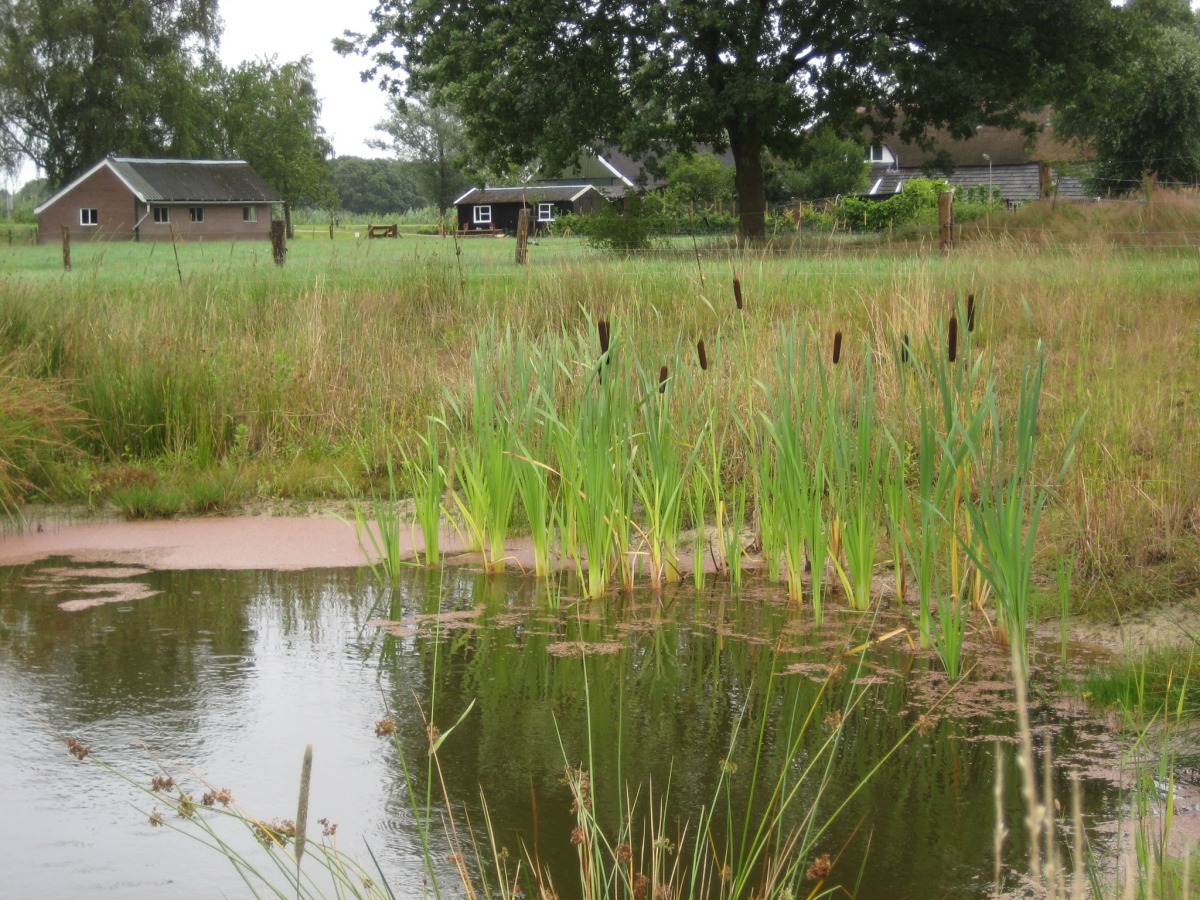 Rustpunt Boerderij "De Brummel". - Sallandse Heuvelrug