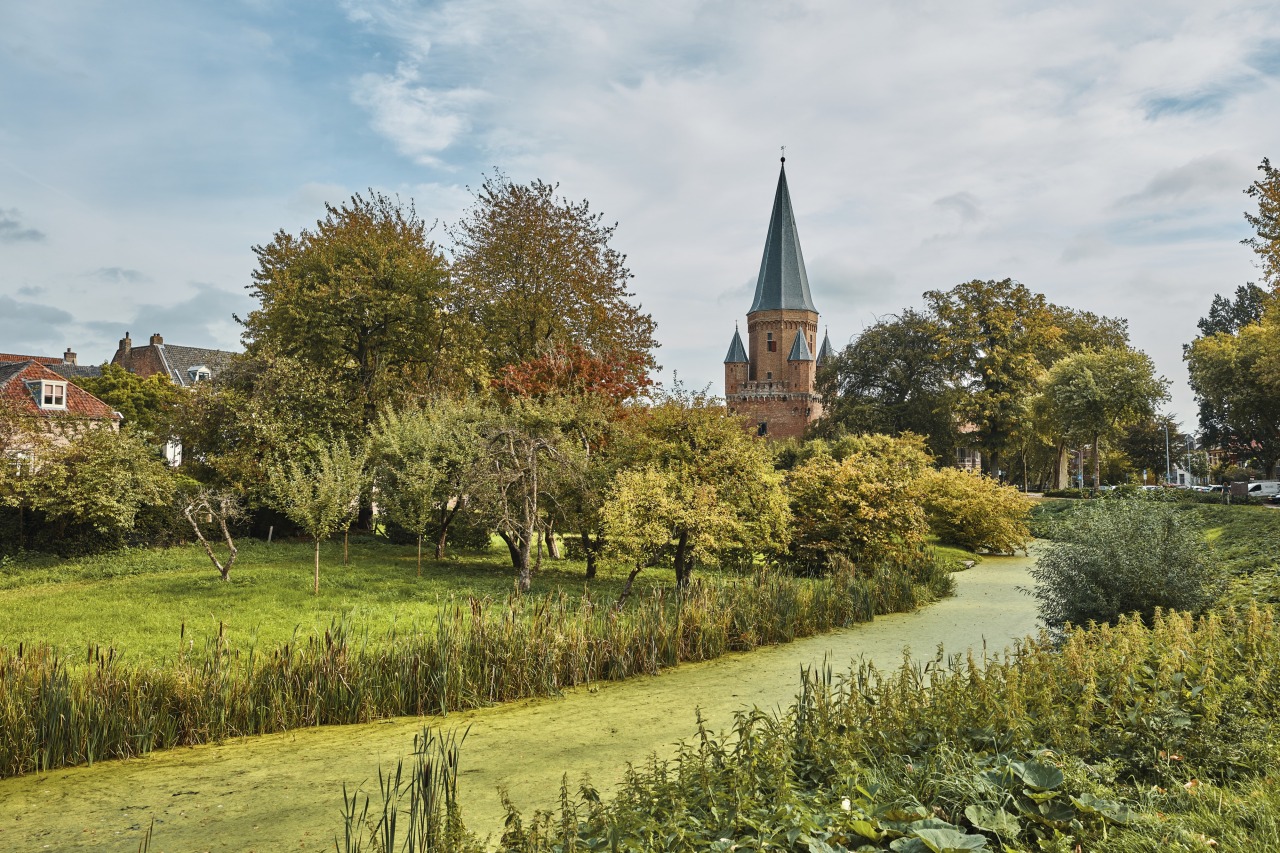 Was man in Zutphen unternehmen kann - Holland Hanse