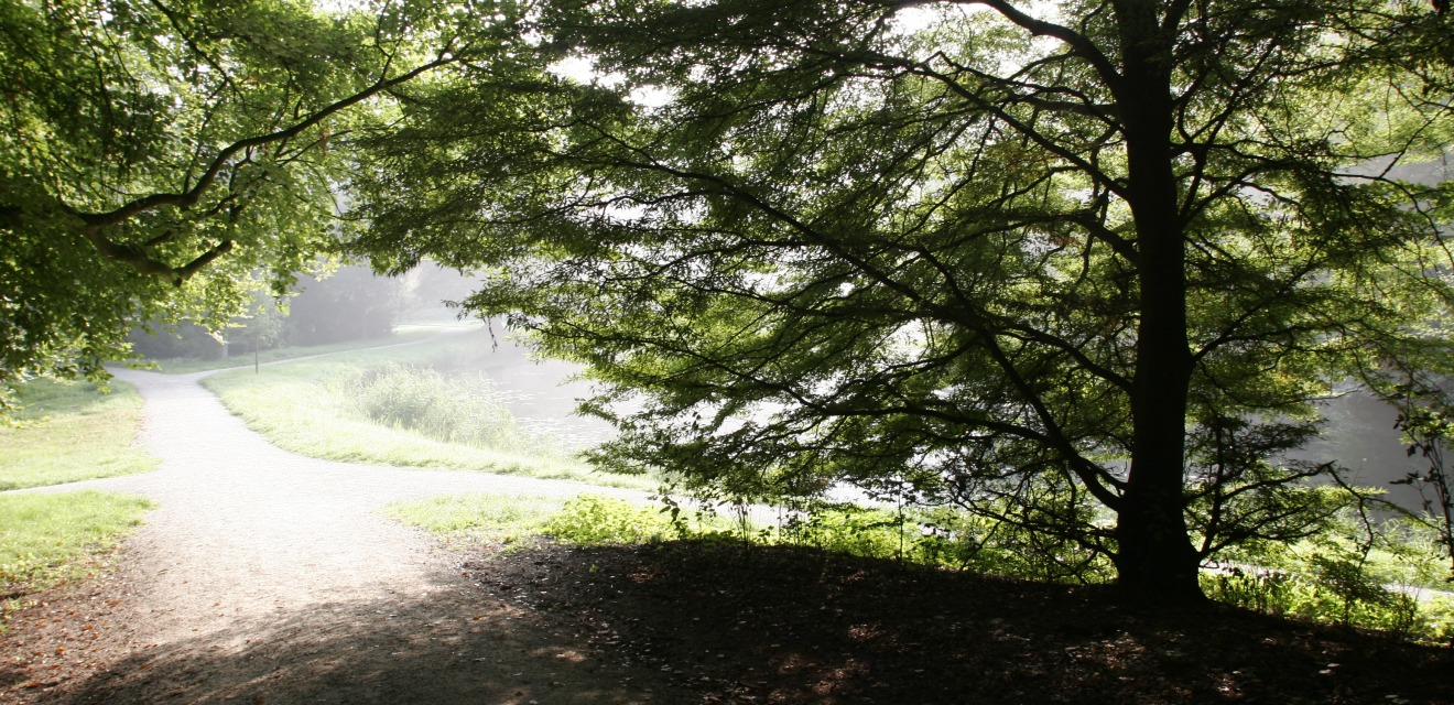 Wandelen in Zwolle: de mooiste wandelingen - VisitZwolle