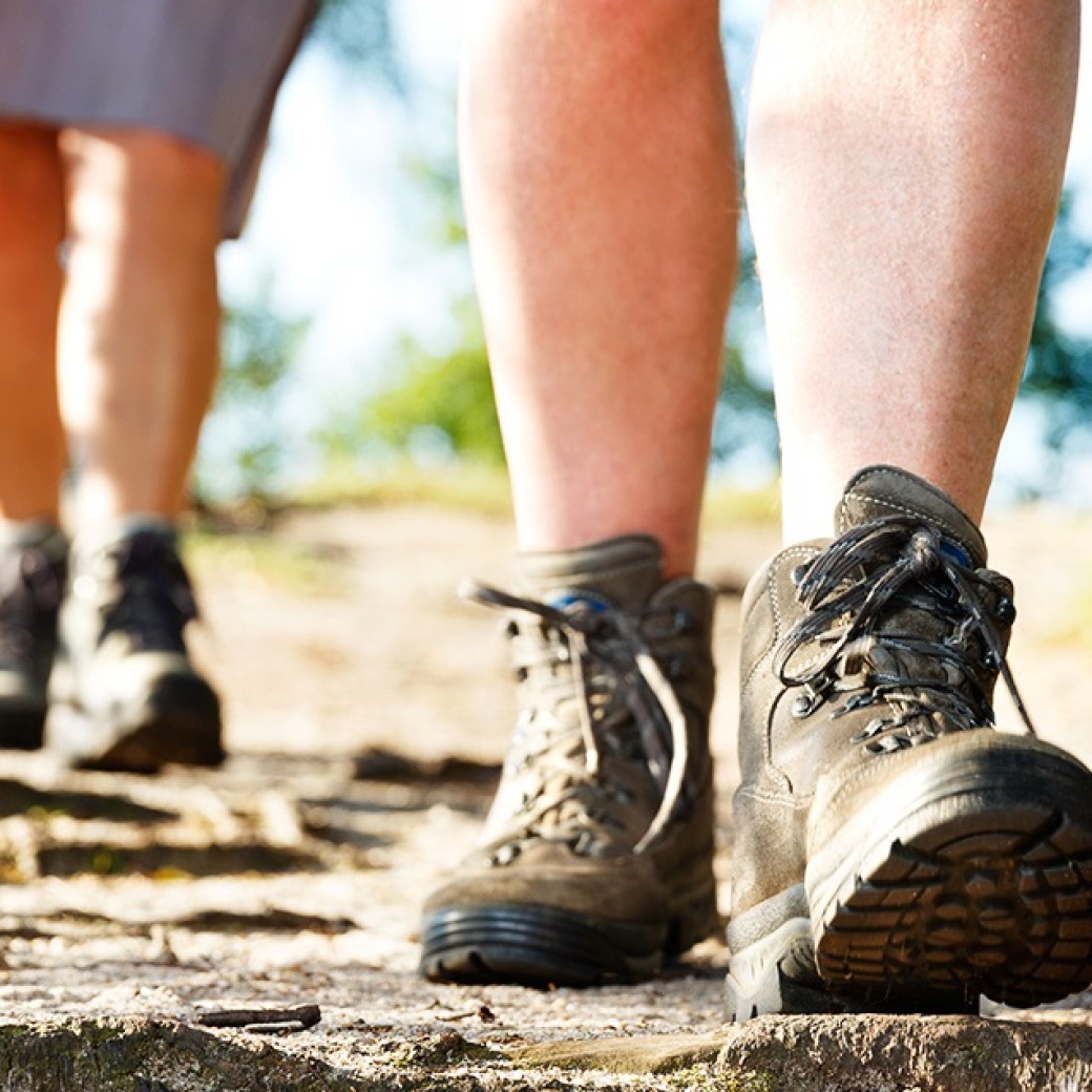 Wandelen in Rijssen: leuke (route)tips - Visit Rijssen-Holten
