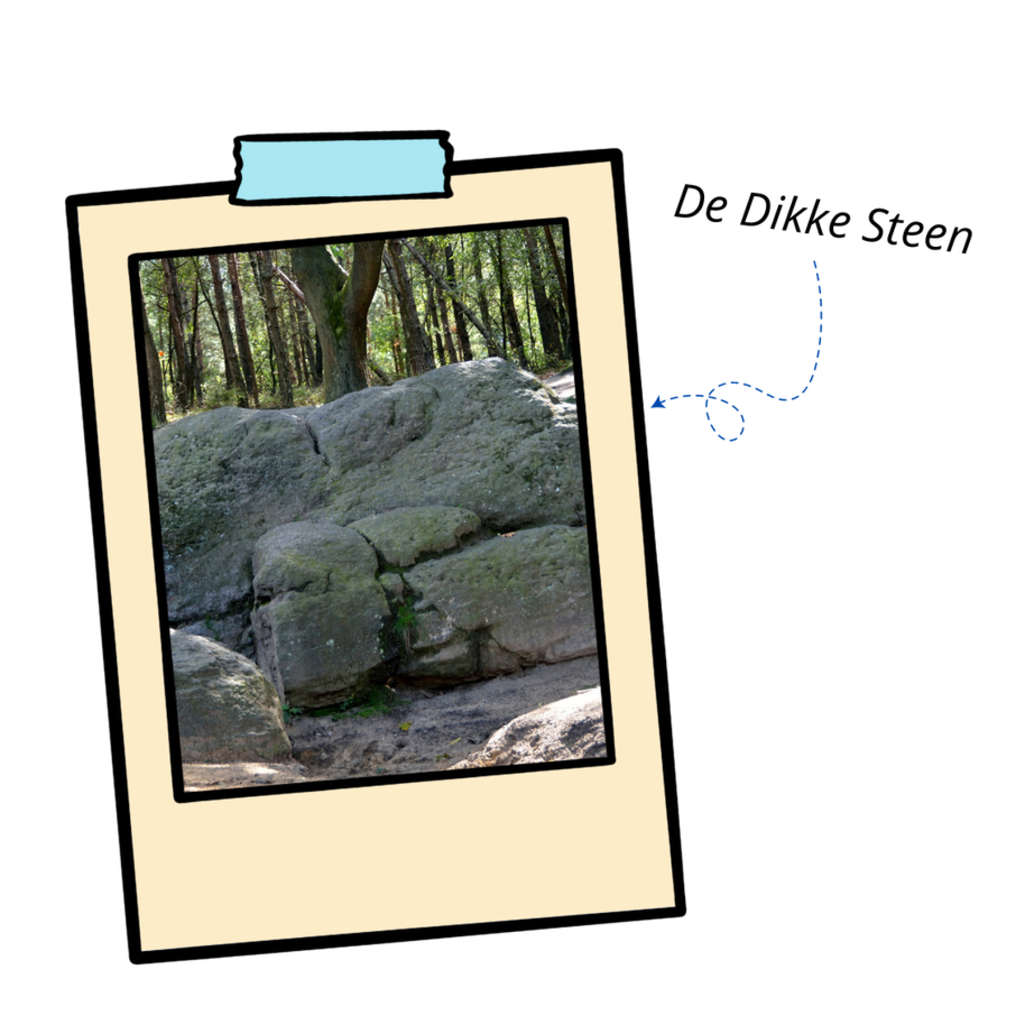 IJstijdenpad - veel ontdekt- paal 11 - Sallandse Heuvelrug