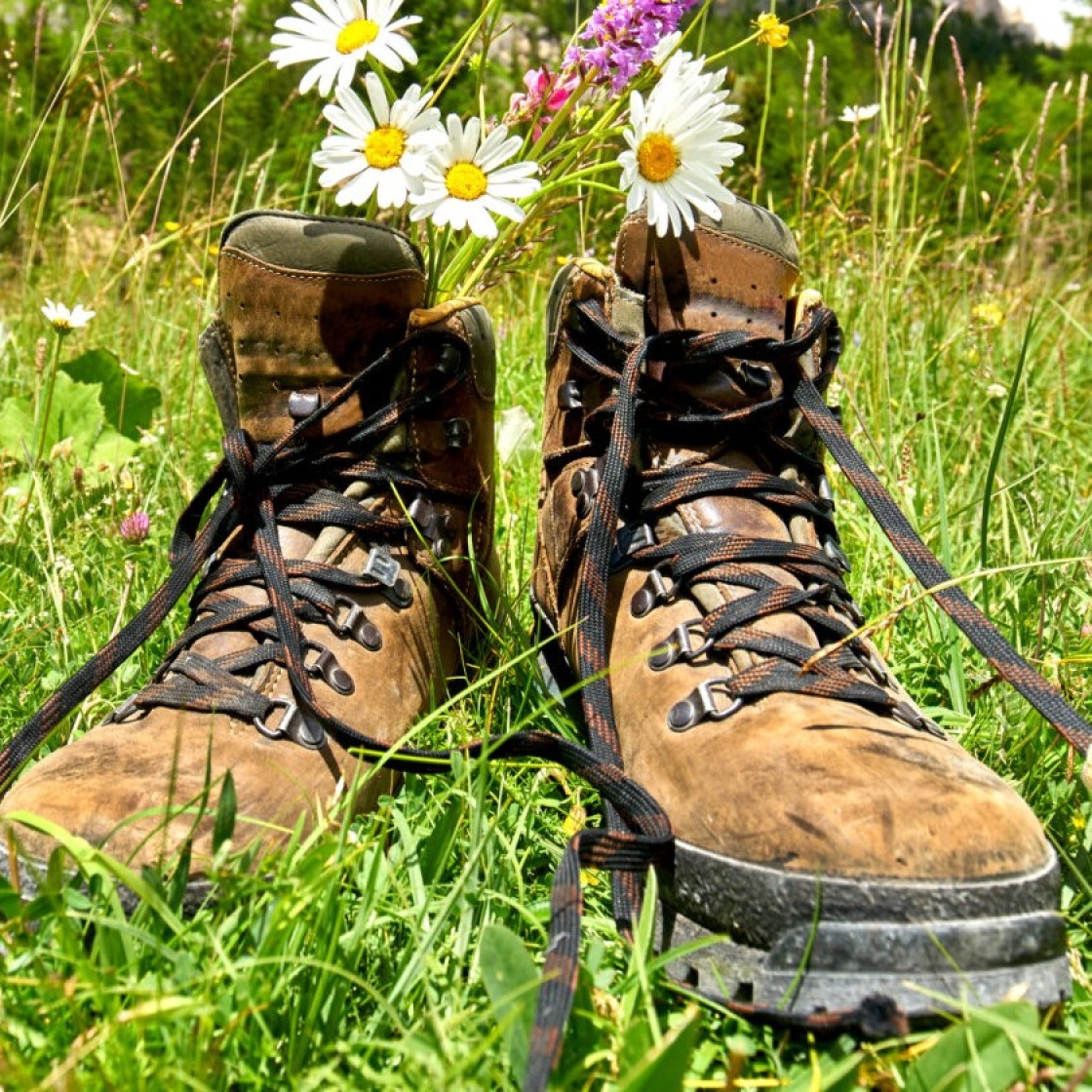 Het Rutbeek - Recreatieparken Twente