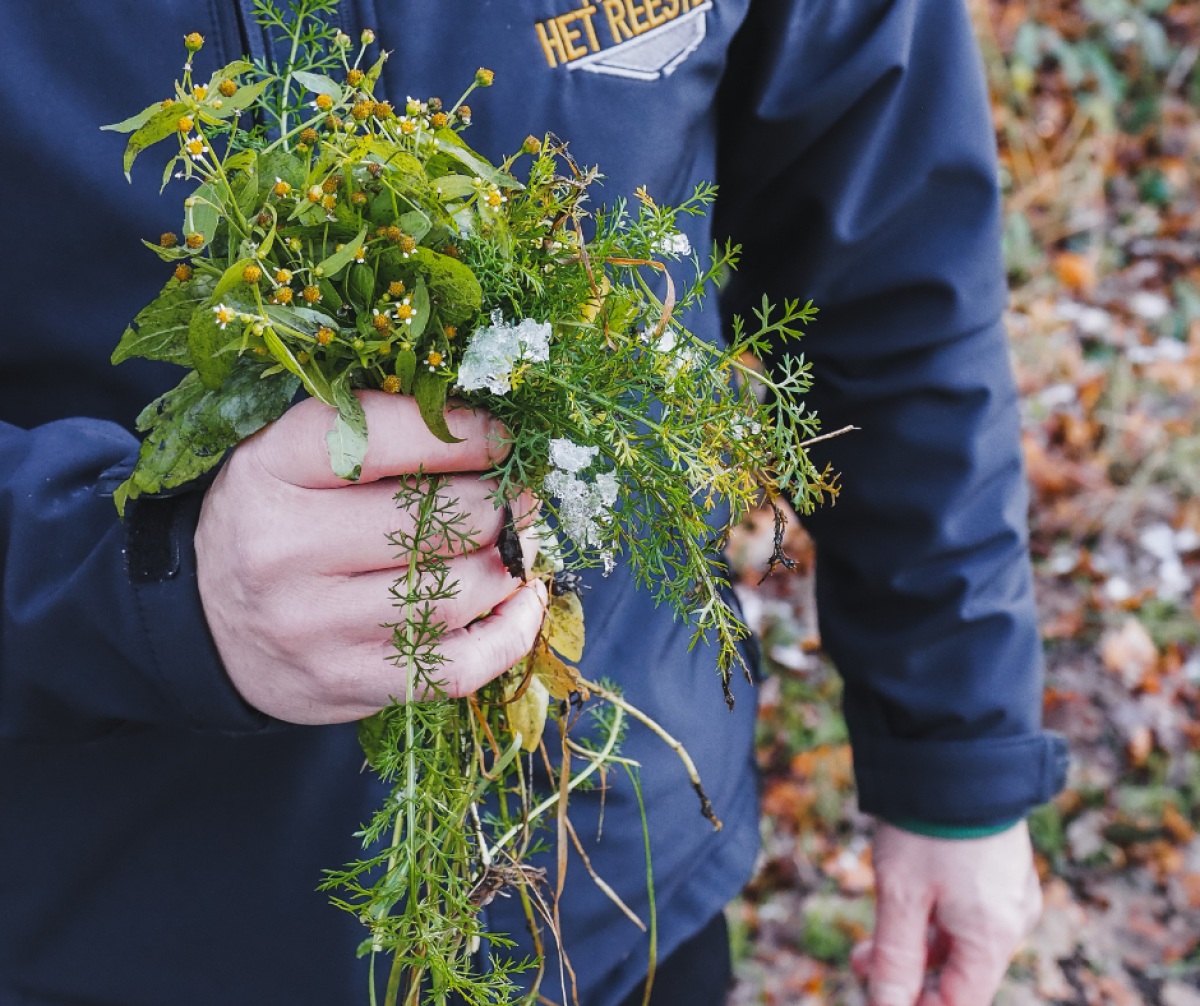 Een foodwalk door het Reestdal met Daniel Poolman - Visit Hardenberg