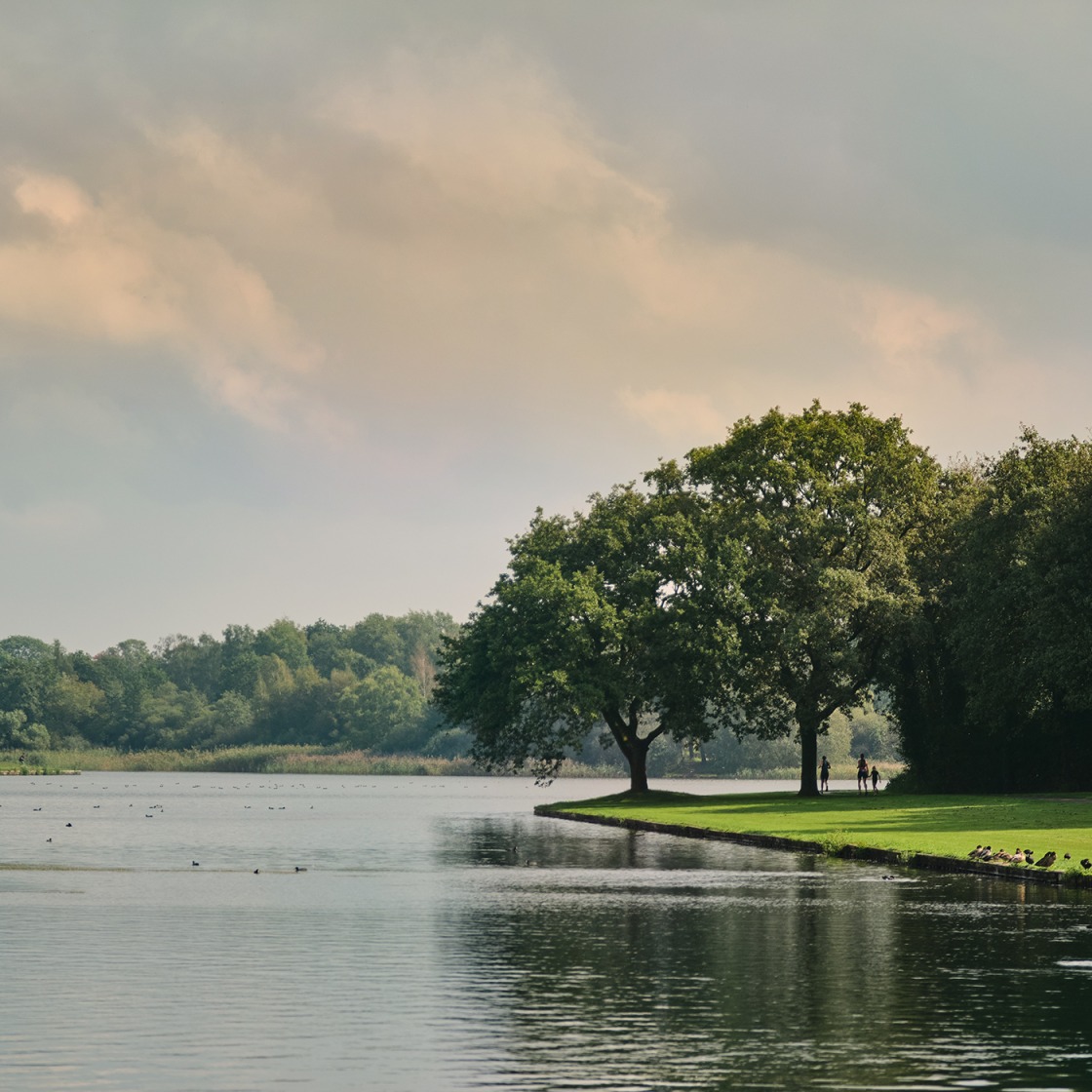 Het Rutbeek - Recreatieparken Twente