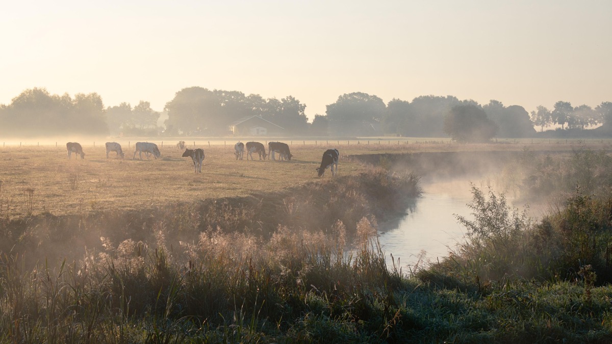Junner Koeland Route - Vechtdal Overijssel