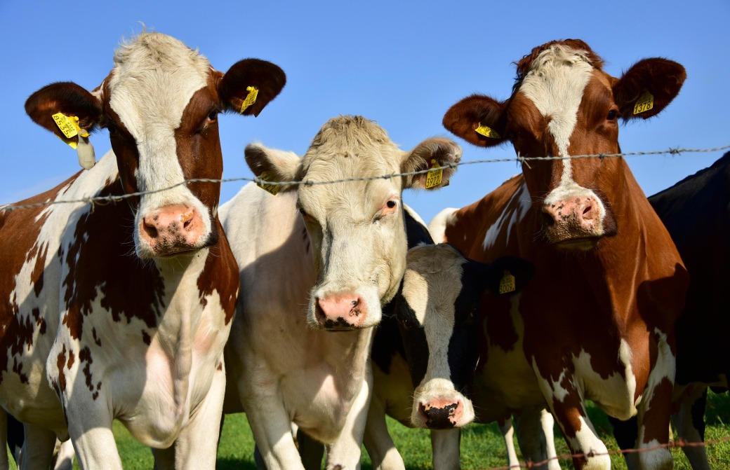 Ontdek de mooiste routes in Twente - Visit Twente