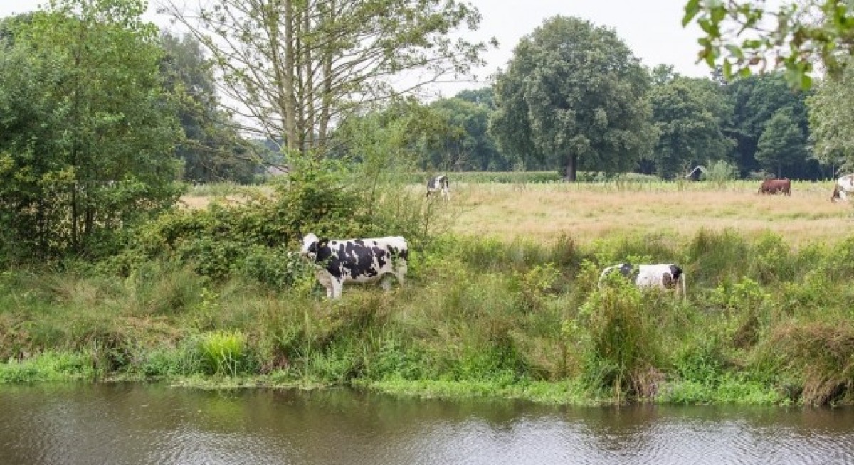 De Regge - Visit Wierden-Enter