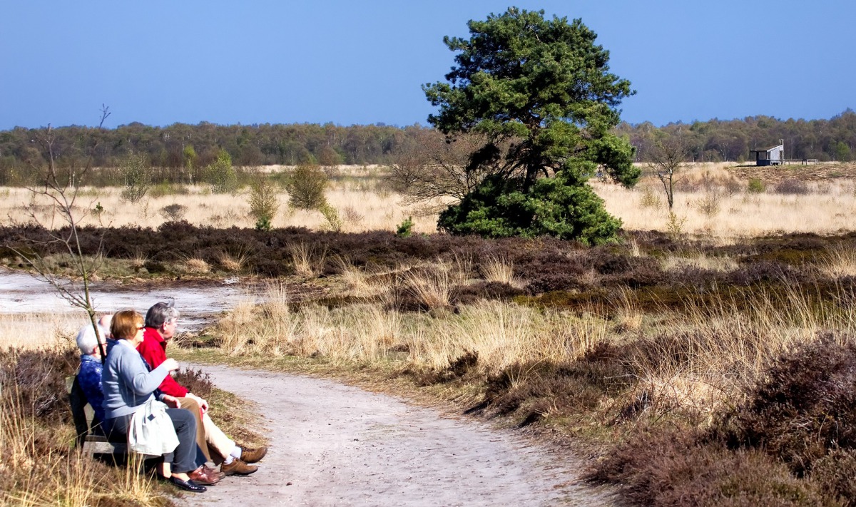 10 ways to discover Twente's amazing nature. - Visit Twente